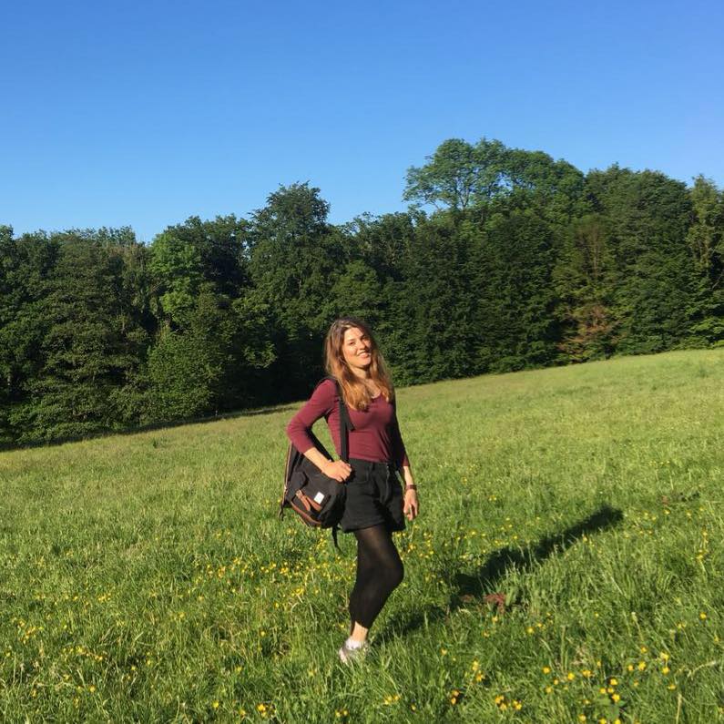 Meine Schaukel – nid